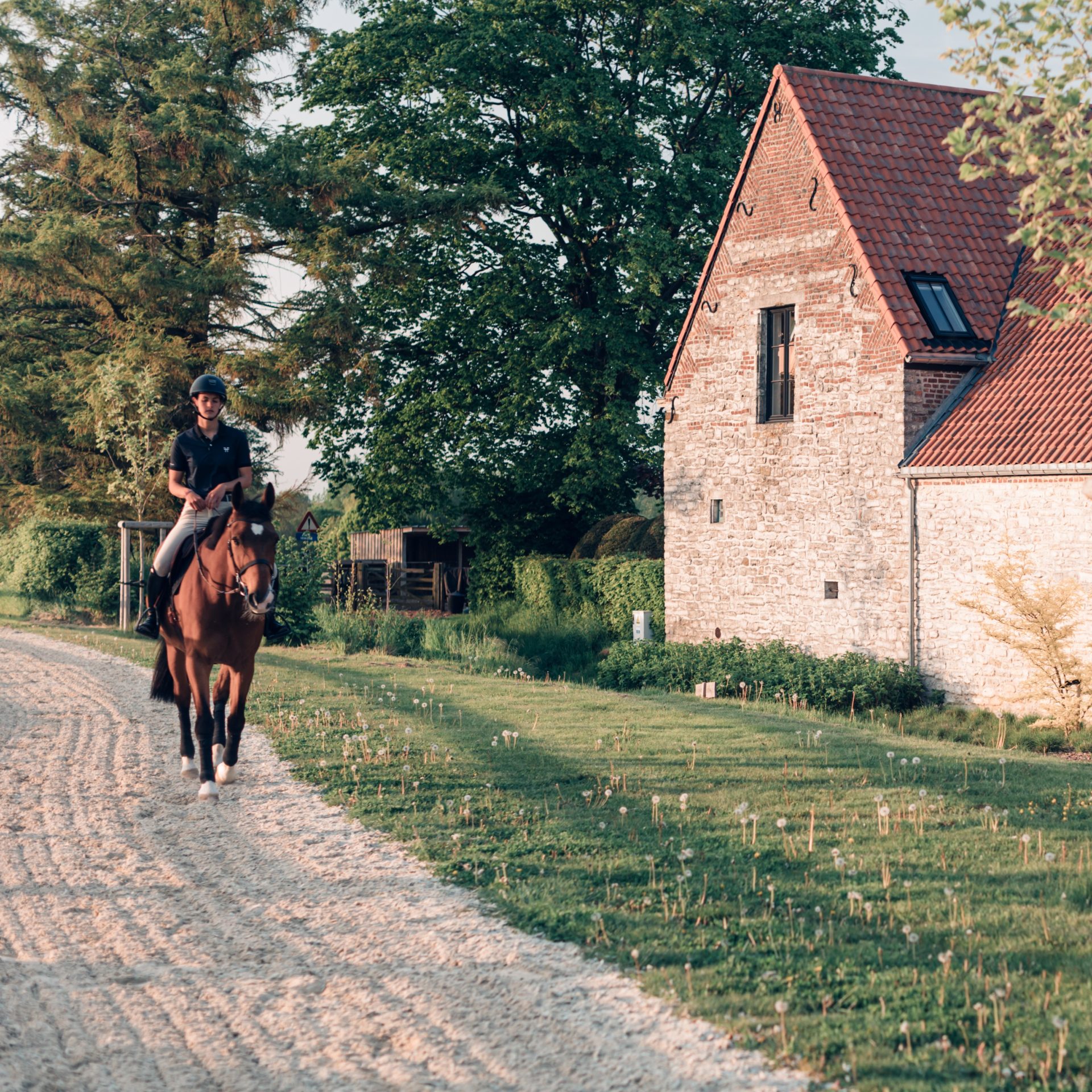 Notre approche - Aquila Farm