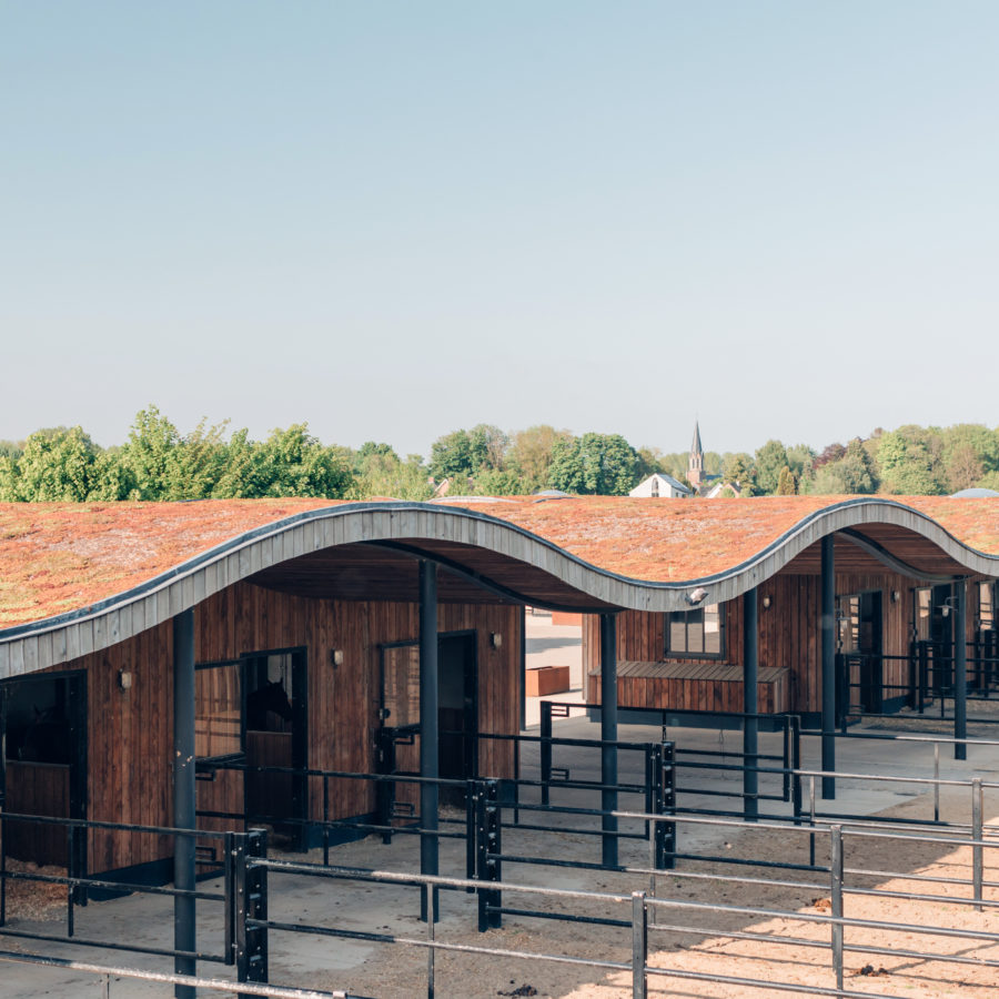 Notre approche - Aquila Farm