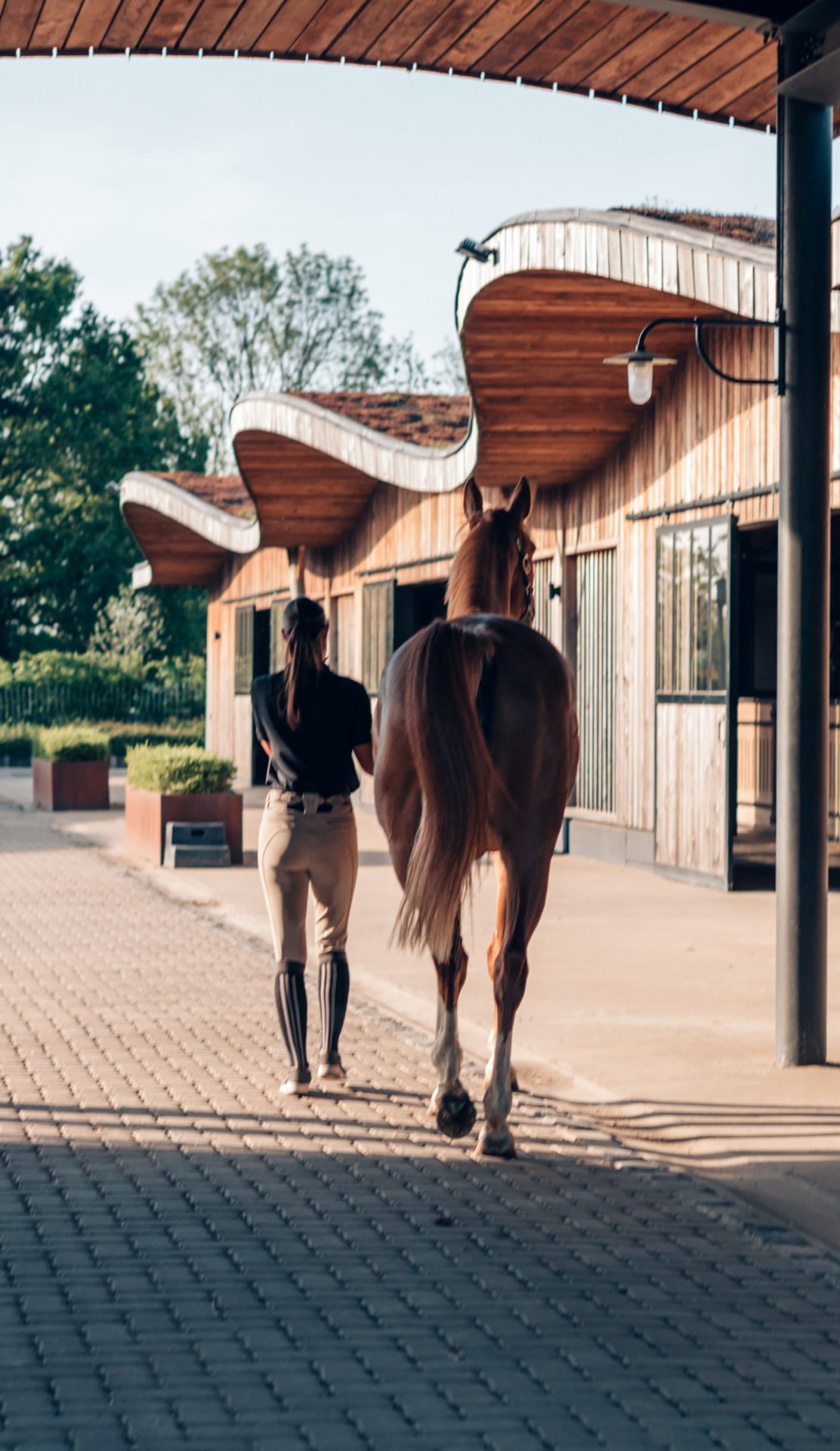 Onze diensten - Aquila Farm